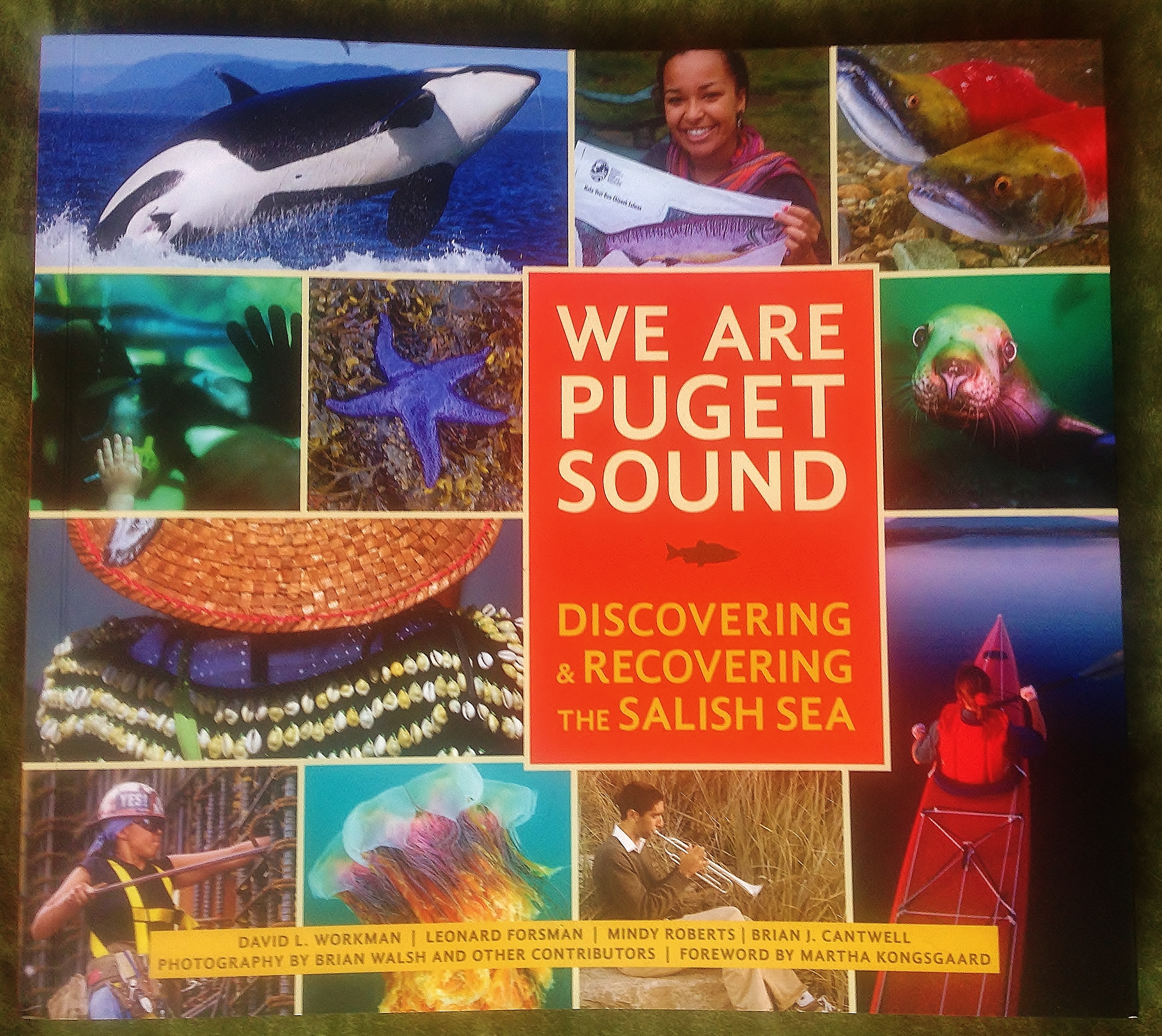 Got a love affair with Puget Sound? Here’s a new book to fuel your ...