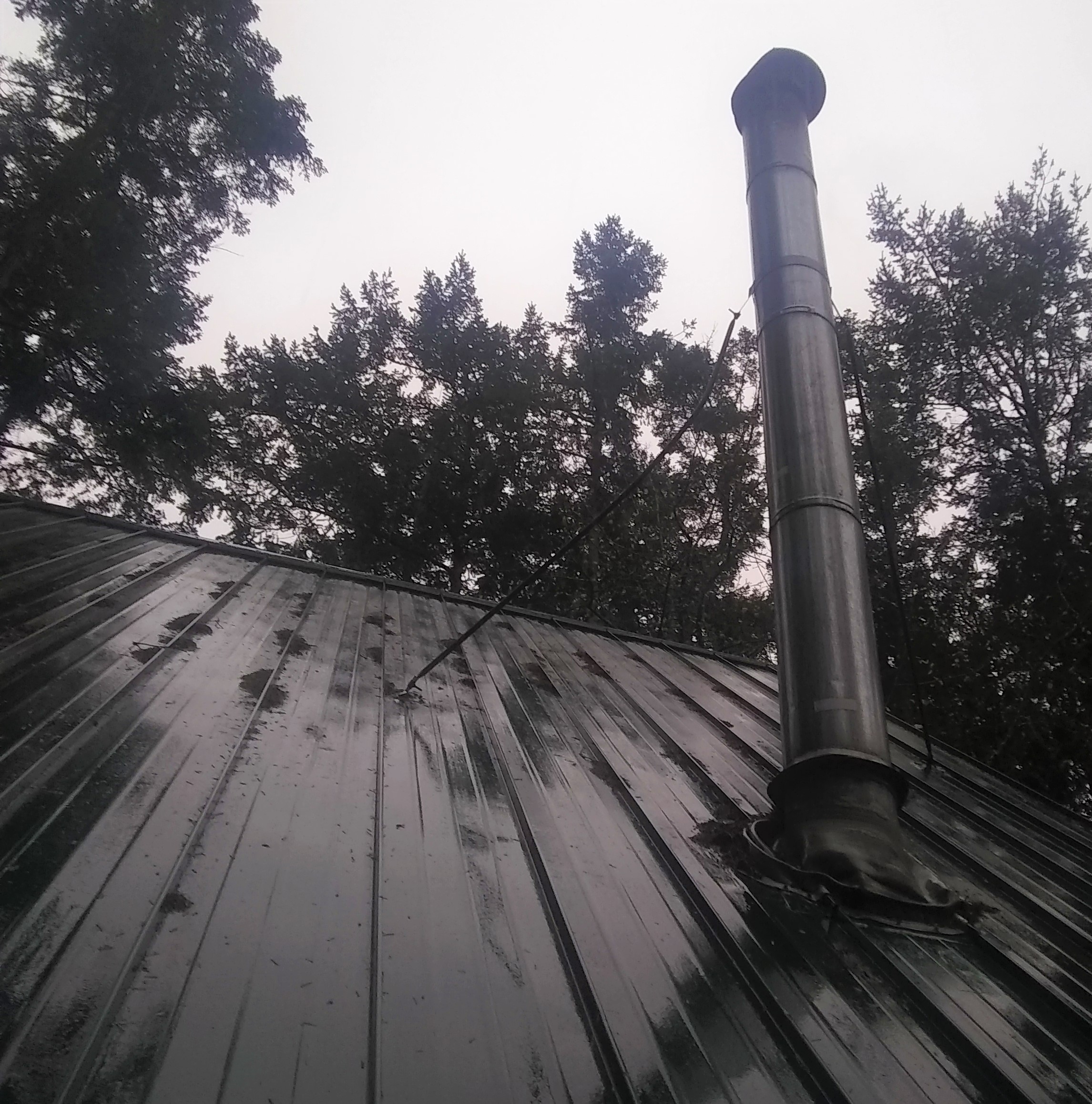 The creature in my chimney – Cantwell's Reef