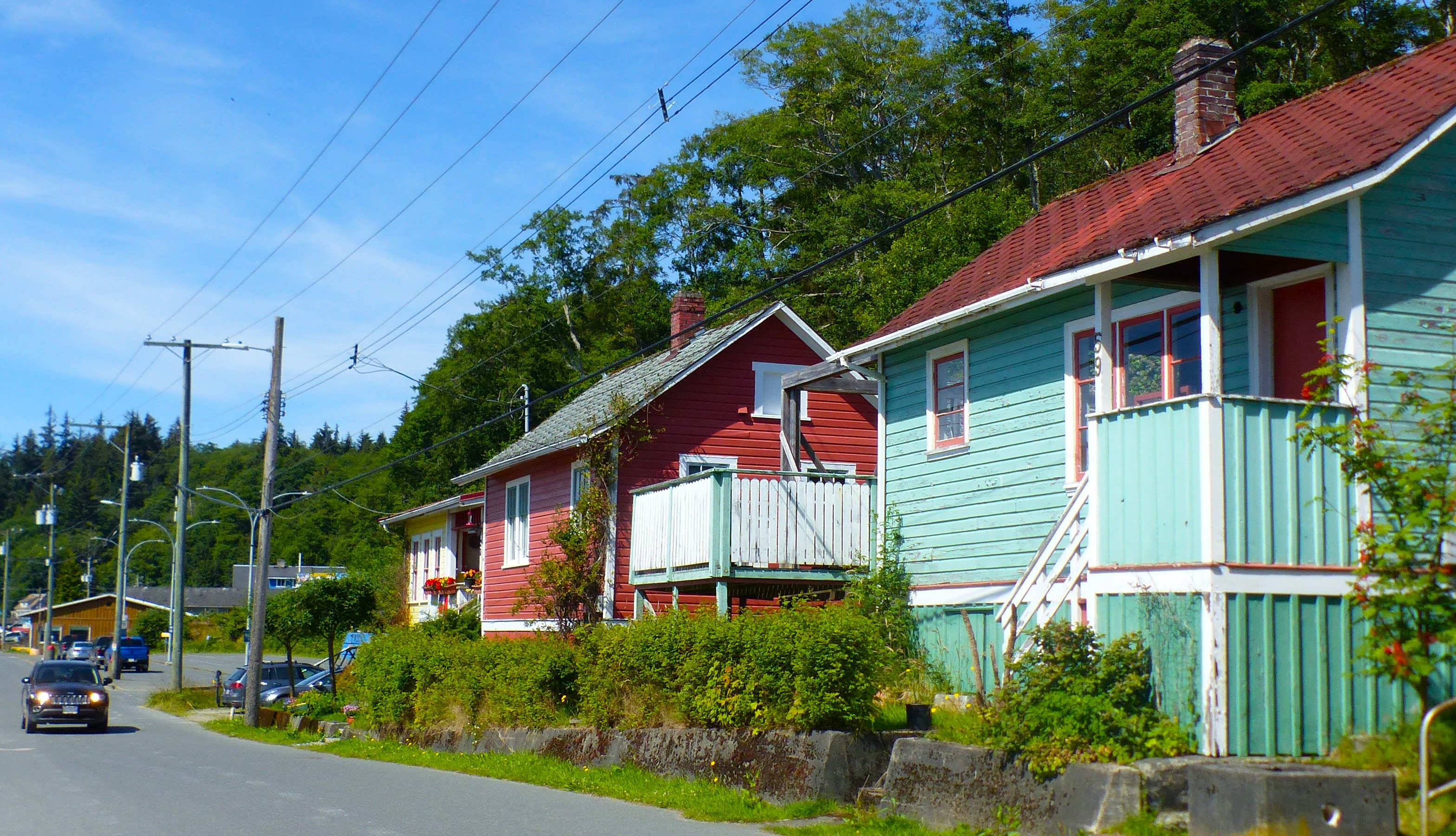 A fabulous day at Alert Bay – Cantwell's Reef